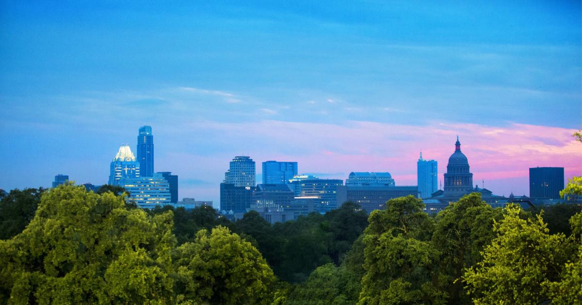 Austin Tree of the Year awards fête fab flora | Urbanize Austin